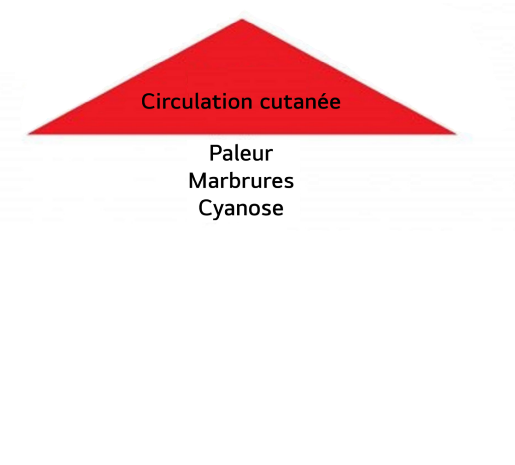 Interventions rapides basées sur l'évaluation du Triangle d'Évaluation ...