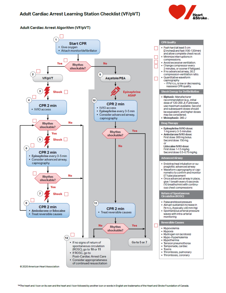 Adult Cardiac Arrest ACLS Algorithm: Complete Guide for Emergency ...