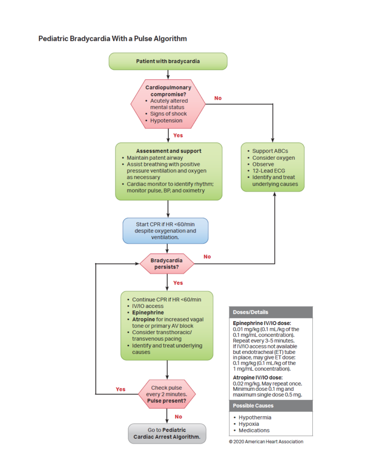 Pediatric Bradycardia Management in Emergency Medicine: A PALS-Based Approach - COM-BOS